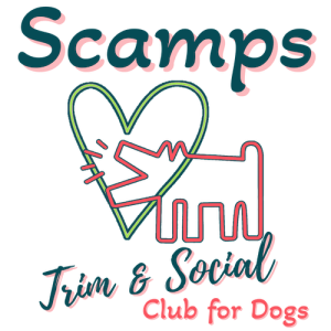 Trim & Social Grooming – Scamps Grooming